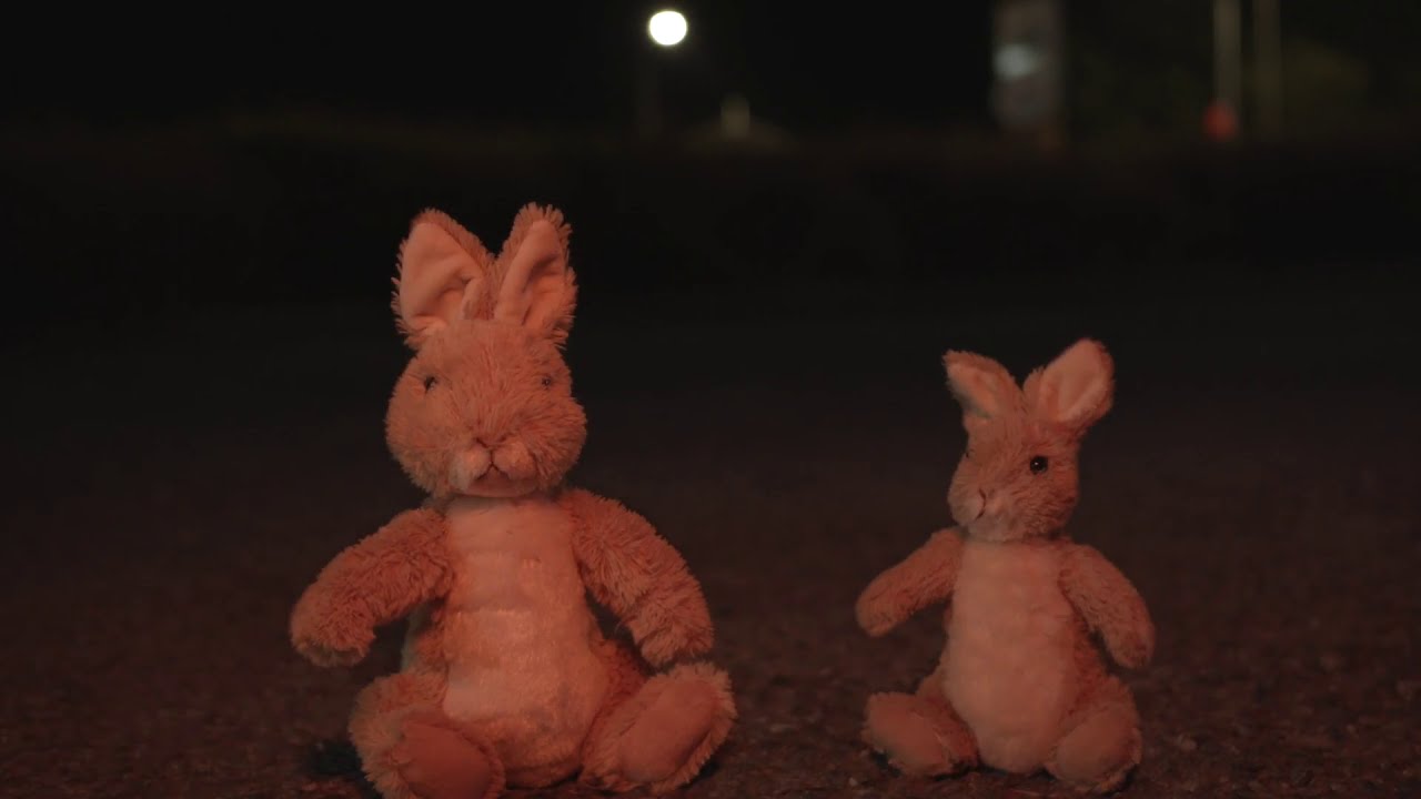 Introducing Manny, Easter Bunny in training - YouTube