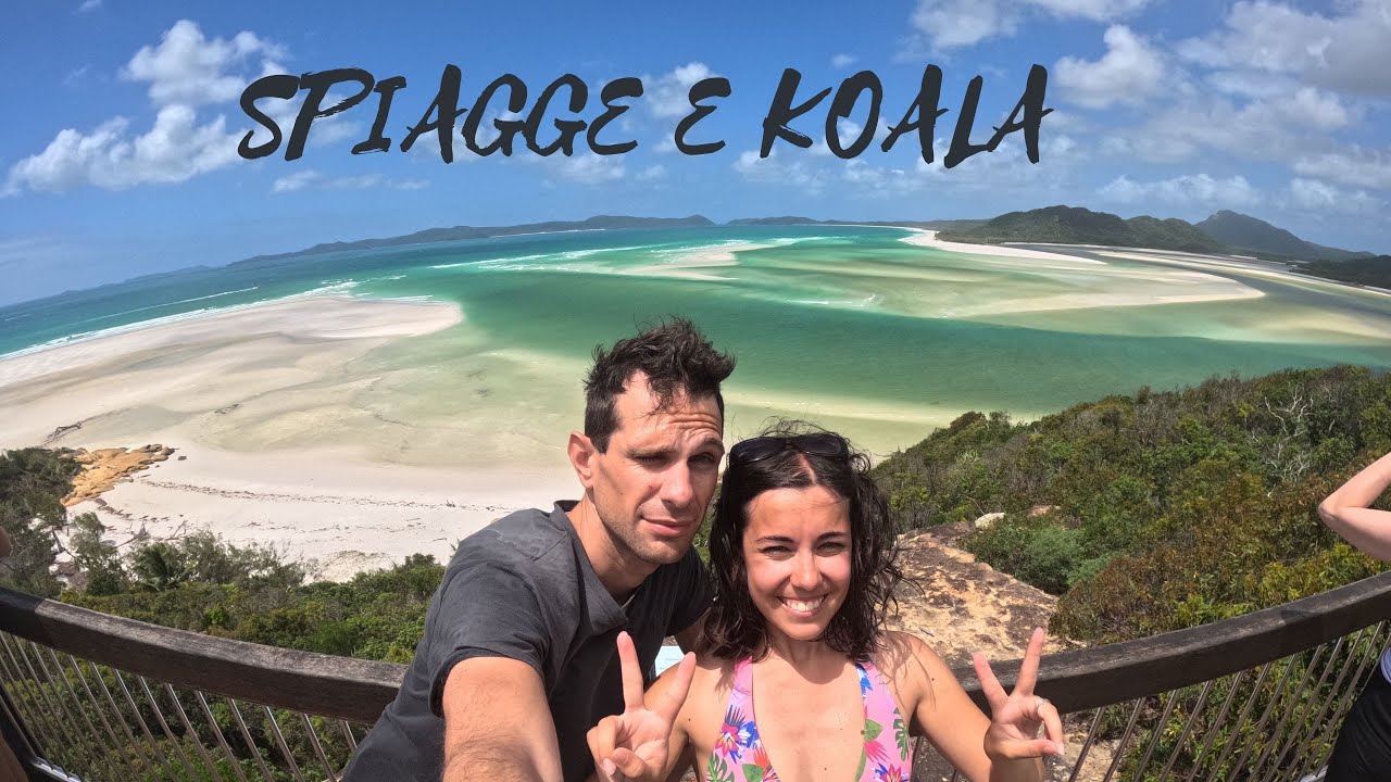 UNA DELLE SPIAGGE PIU' BELLE DEL GLOBO....E TANTI KOALA! || 🌏Vlog ...