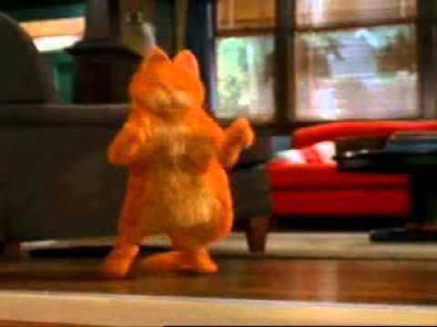 GARFİELD
