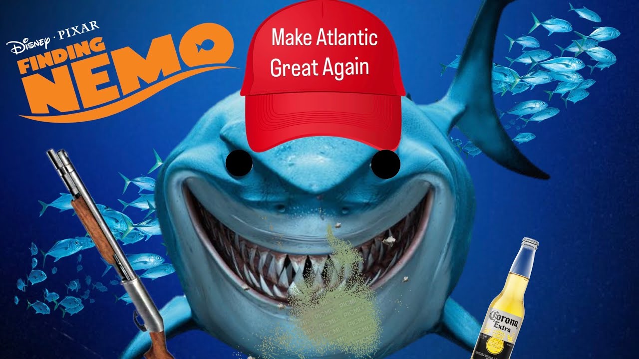 Politically Motivated Shark Smells Hooker Fart and Loses Self Control ...