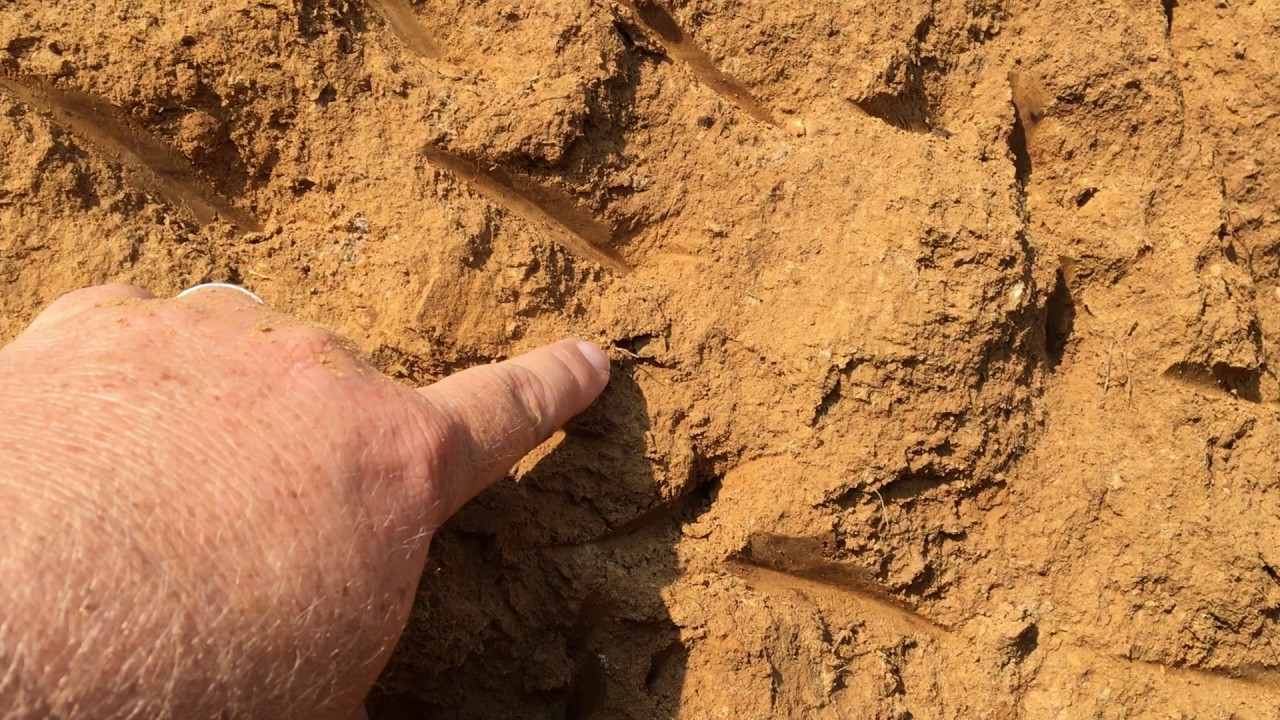 Coal Mine Reclaimed Soil Profile #1 - YouTube