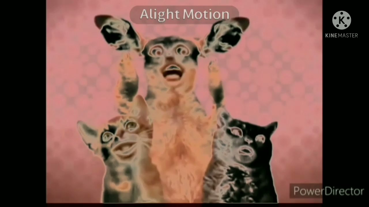 preview 2 numa cat v2 list of effects - YouTube