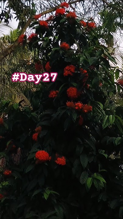 Welcome to My Minivlog || Daily life style || My Minivlog ||#minivlog #dailyvlog #shorts #day27 ...