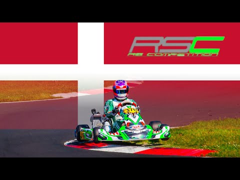 I Raced For Denmark's BEST Go Kart Team