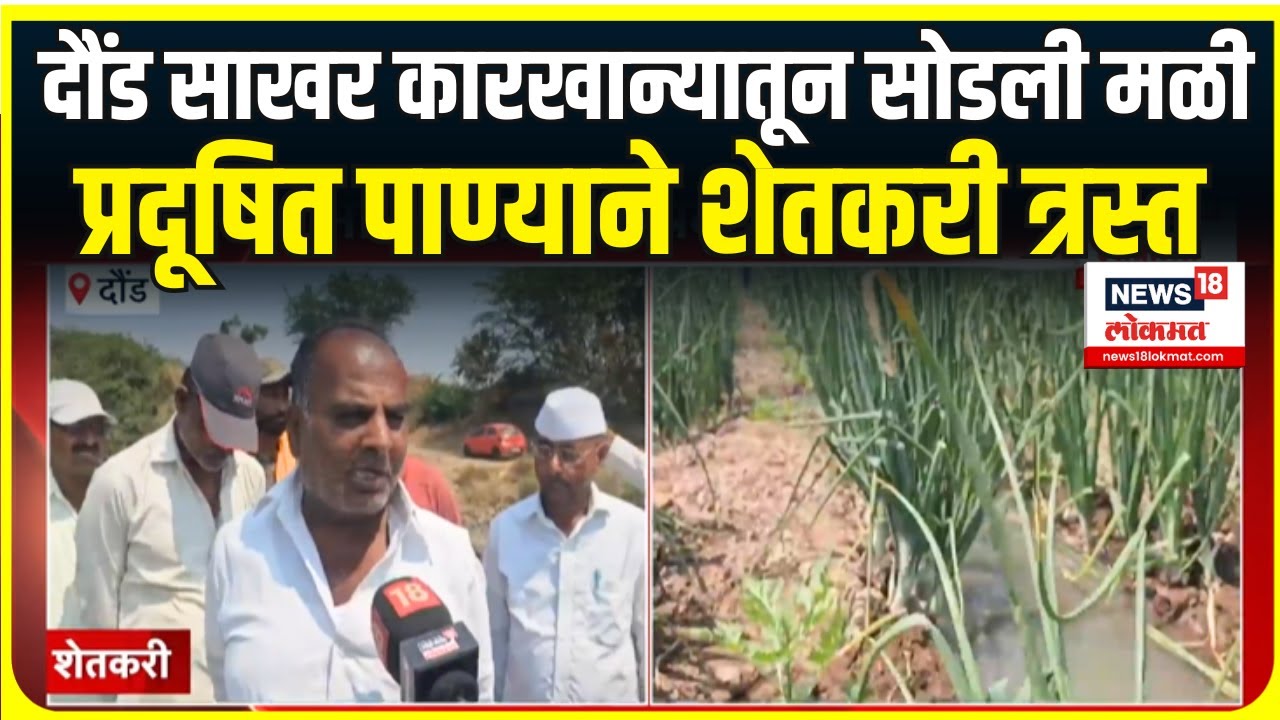 Daund Sugar Factory: रसायन मिश्रित पाणी थेट भीमा नदीच्या पात्रात ...