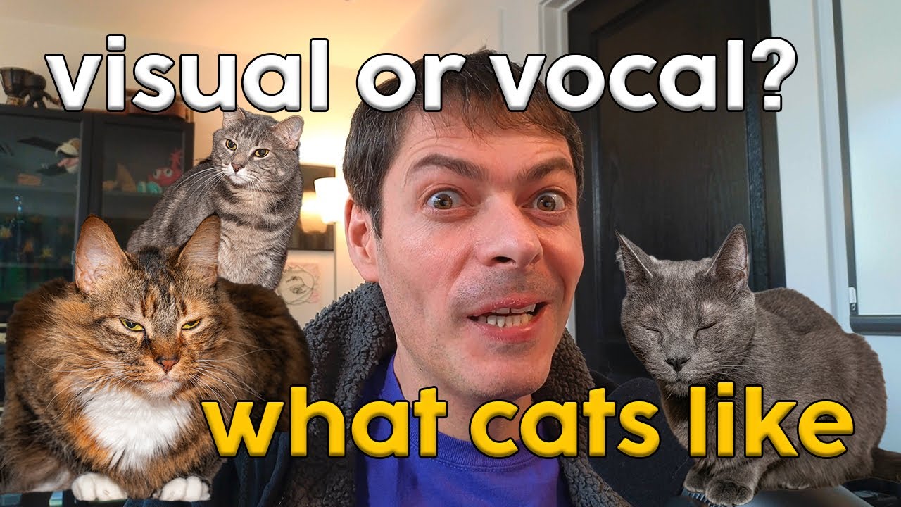 Visual vs vocal communication with cats—Science paper reviews with Greg ...