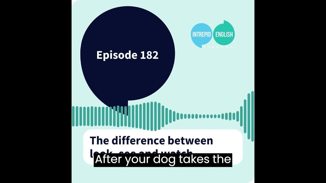 the-difference-between-look-see-and-watch-intrepid-english-podcast