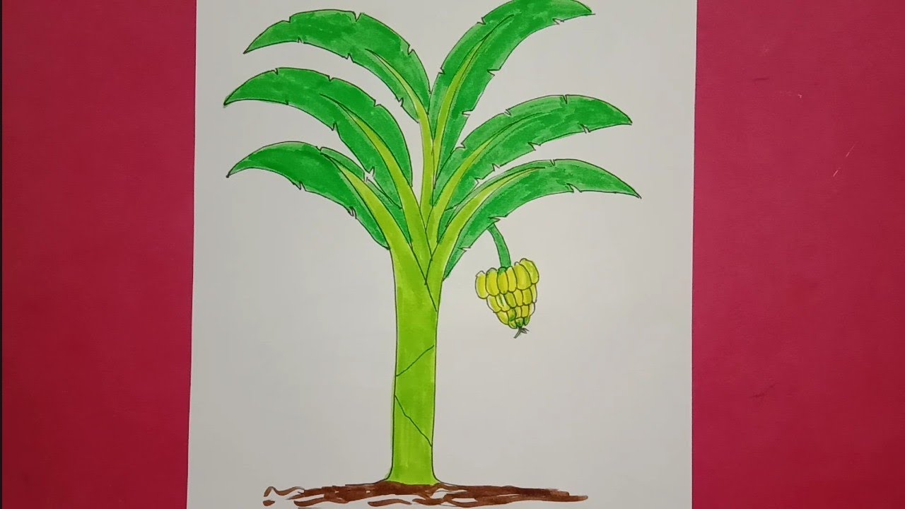 How To Draw Banana Trees