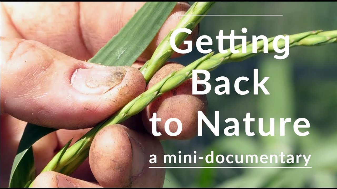 Getting Back to Nature | a mini documentary - YouTube