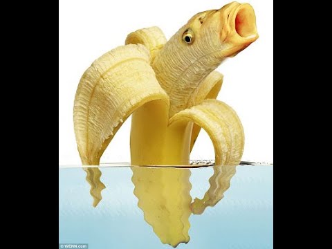 Bananazilla SCP Secret's of The Foundation Episodio 2 - YouTube
