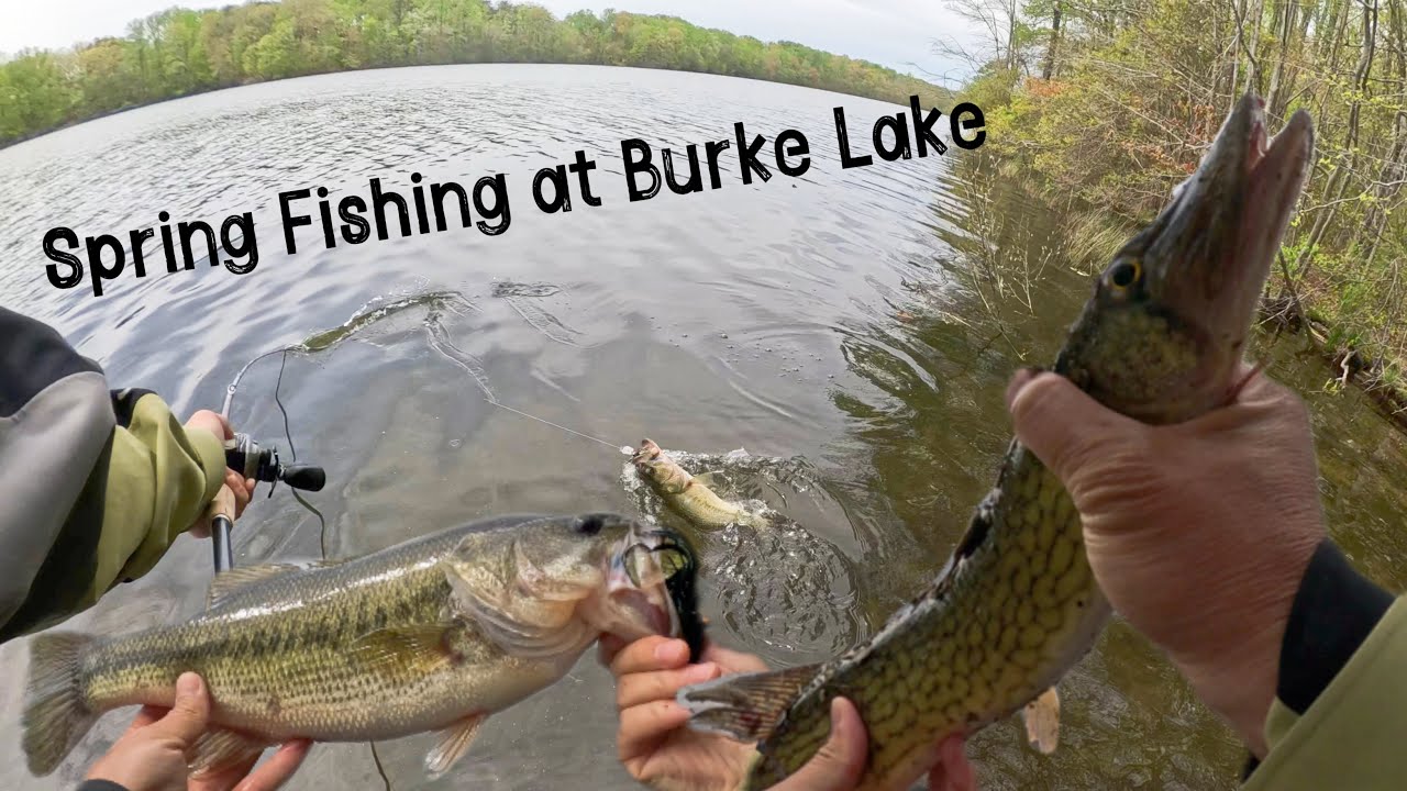Spring Fishing at Burke Lake - YouTube