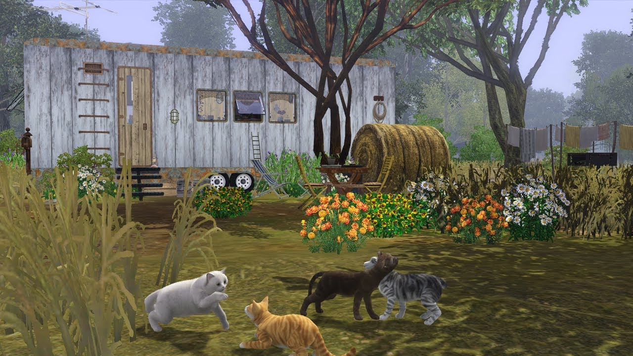 swamp trailer cats 🐈🌾 gameplay | the sims 3 - YouTube