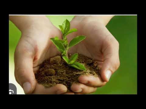 2025 - yil " Atrof -muhitni asrash va "yashil" iqtisodiyot yili "ga " Ona tabiatni asrayli ...