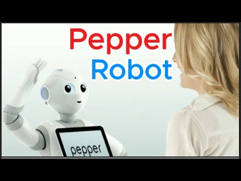 Meet Pepper: The Robot Built for People, Can Pepper greet customers and ...