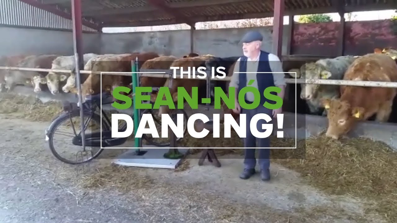Sean Nós Dancing | Discover Ireland’s Old-Style Dance Tradition - YouTube