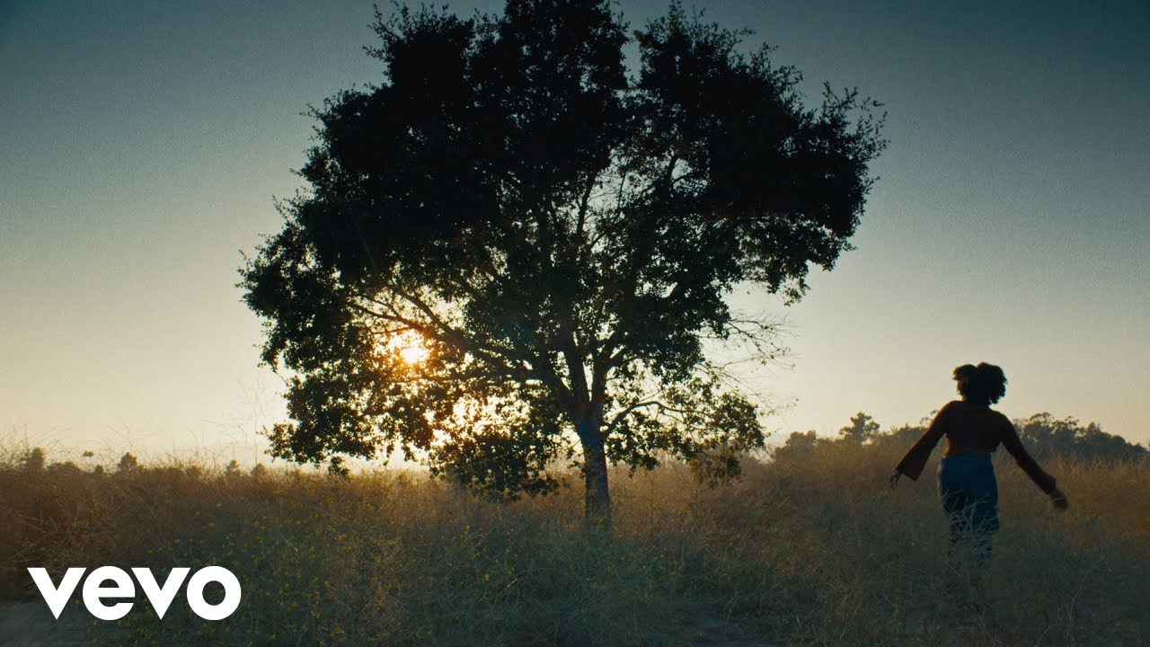 Chenayder - Sweatshirt - YouTube Music
