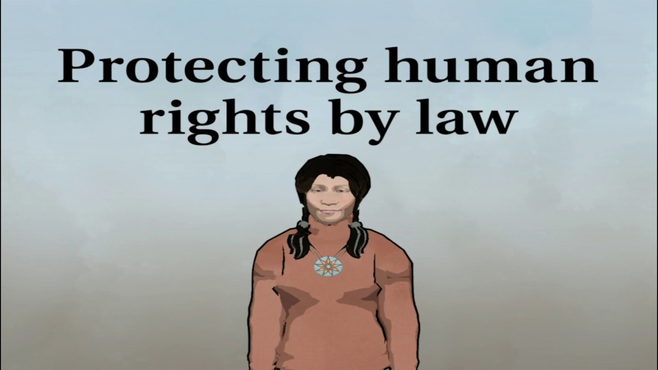 Protecting Human Rights by Law – described video - YouTube