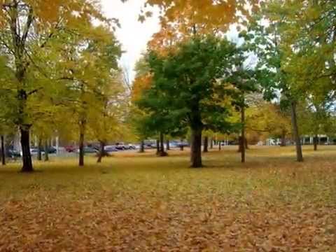 Lawrence MA Campagnone Park - YouTube
