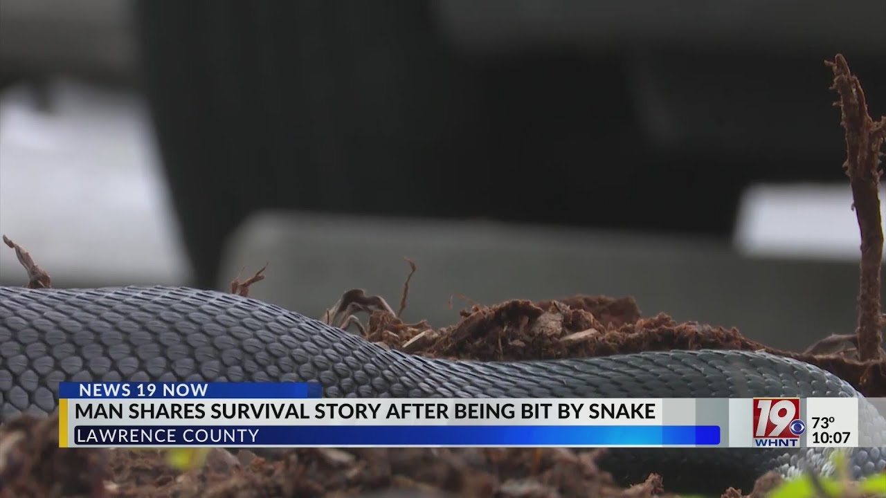 Man Shares Survival Story After Being Bit by Snake | Sept. 11, 2025 ...