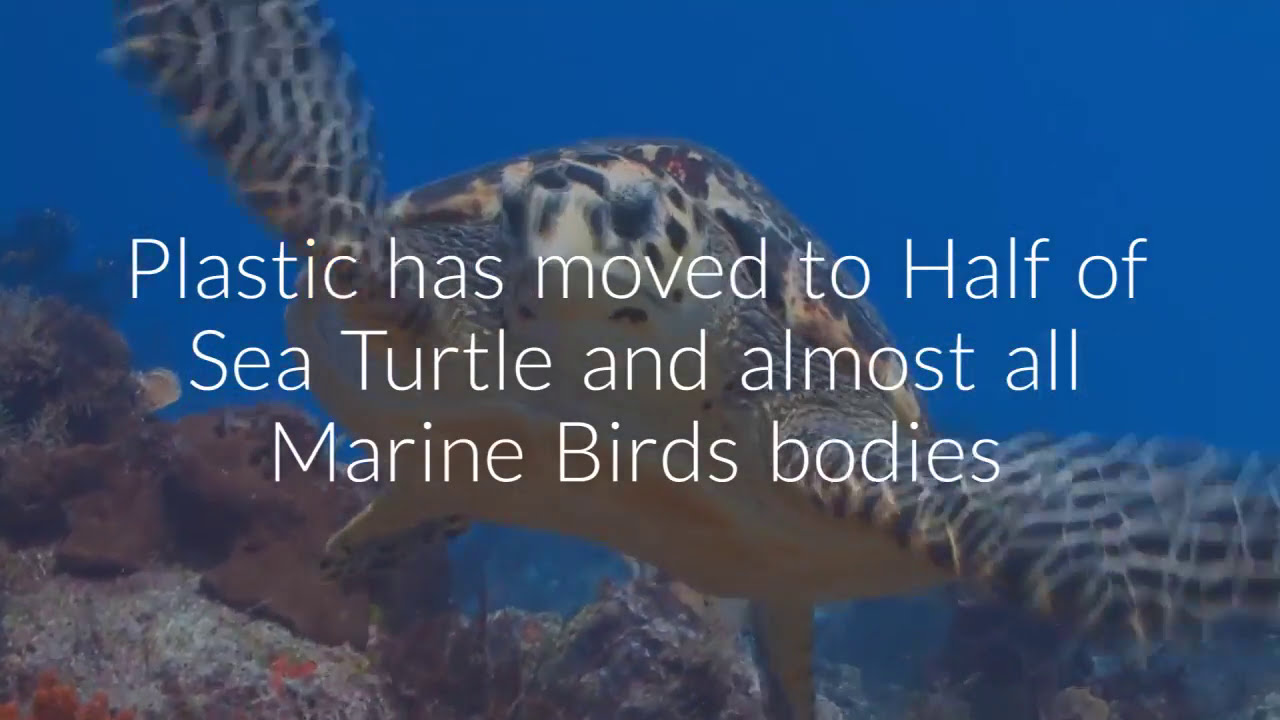 World Earth Day 2018 theme-END PLASTIC POLLUTION-International Mother ...