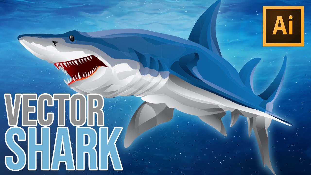 Adobe Illustrator Tutorial | How to Draw Shark Illustration - YouTube