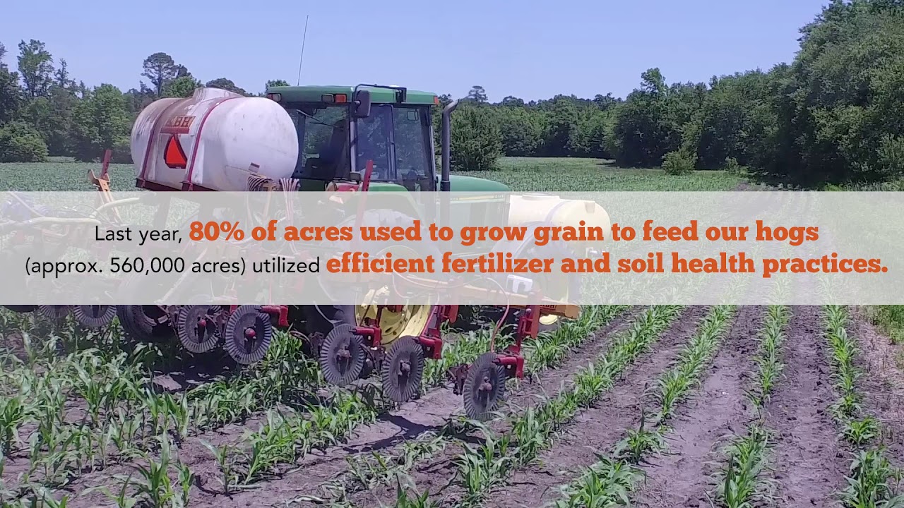 Smithfield Foods Engages Grain Supply Chain in Sustainable Farming Practices - YouTube