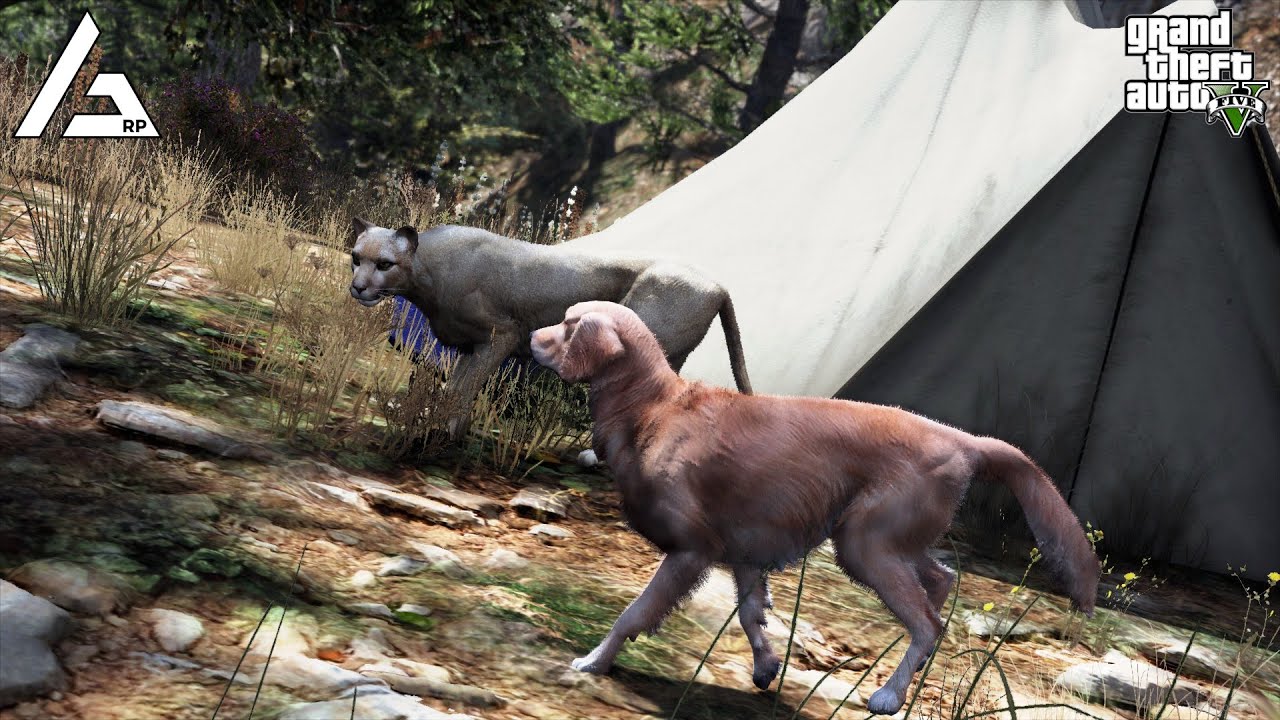 GTA 5 Roleplay - ARP - #1094 - The Goodest Boy's Sacrifice. - YouTube