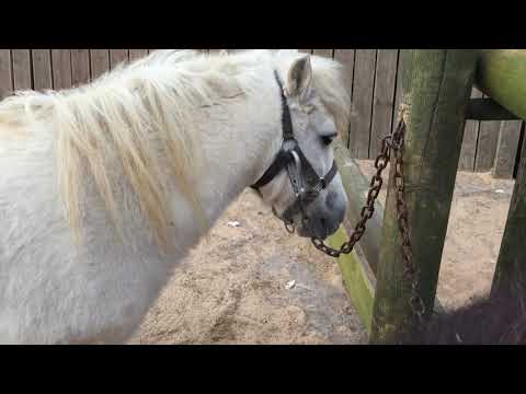 Enes Viaport At Binme..