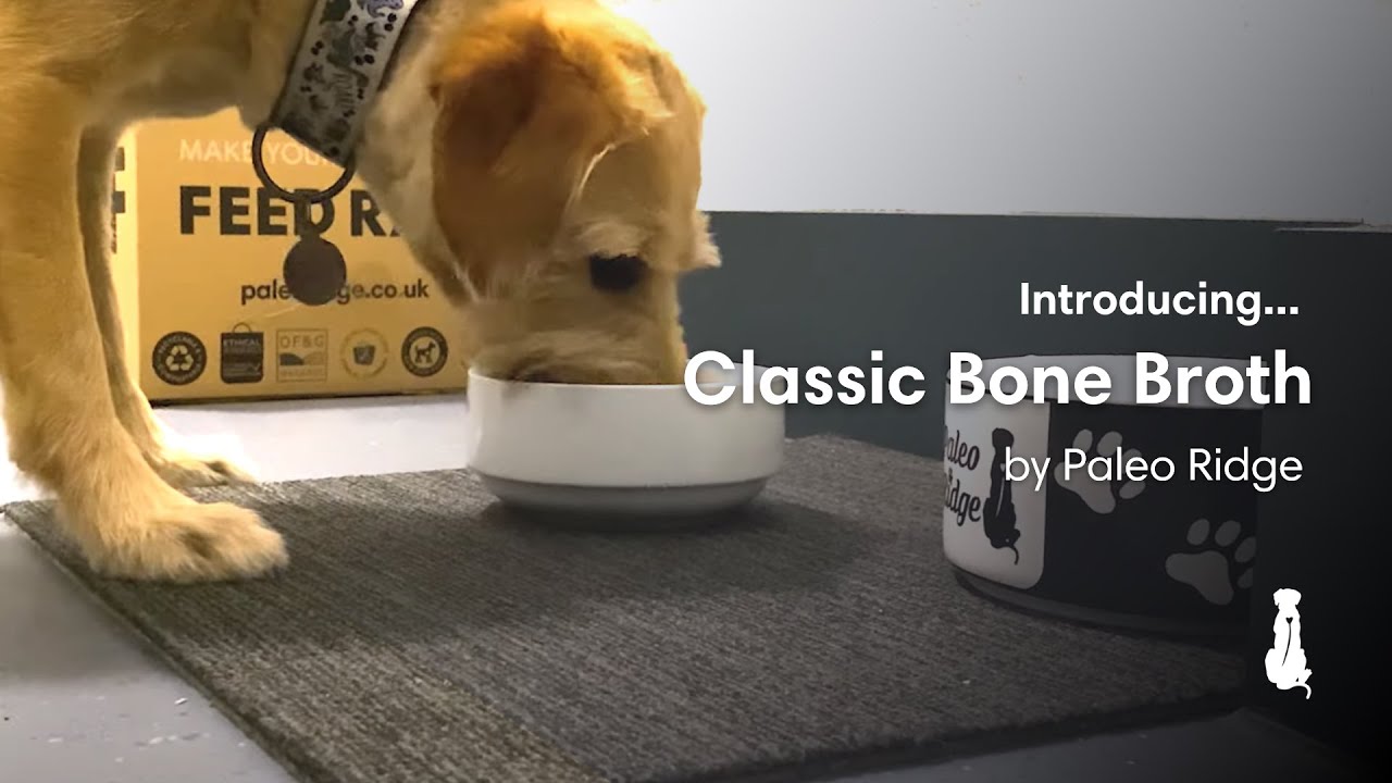 Introducing Bone Broth by Paleo Ridge - YouTube