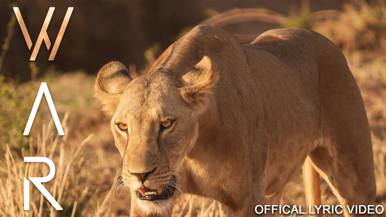 W.A.R. - Greg Kimble | Official Lyric Video | 2023 Renatus Edition ...