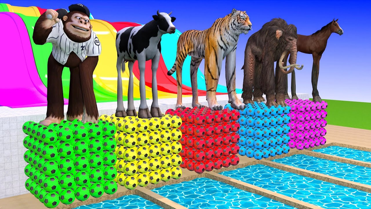 Long Slide Game With Cow Mammoth Elephant Baseball Monkey Tiger Gorilla ...