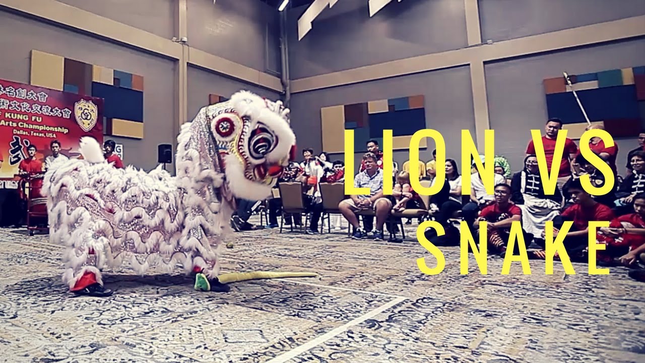 LION DANCE (舞狮, Múa Lân) vs SNAKE | Tyler's Lion Dance for Kids - YouTube