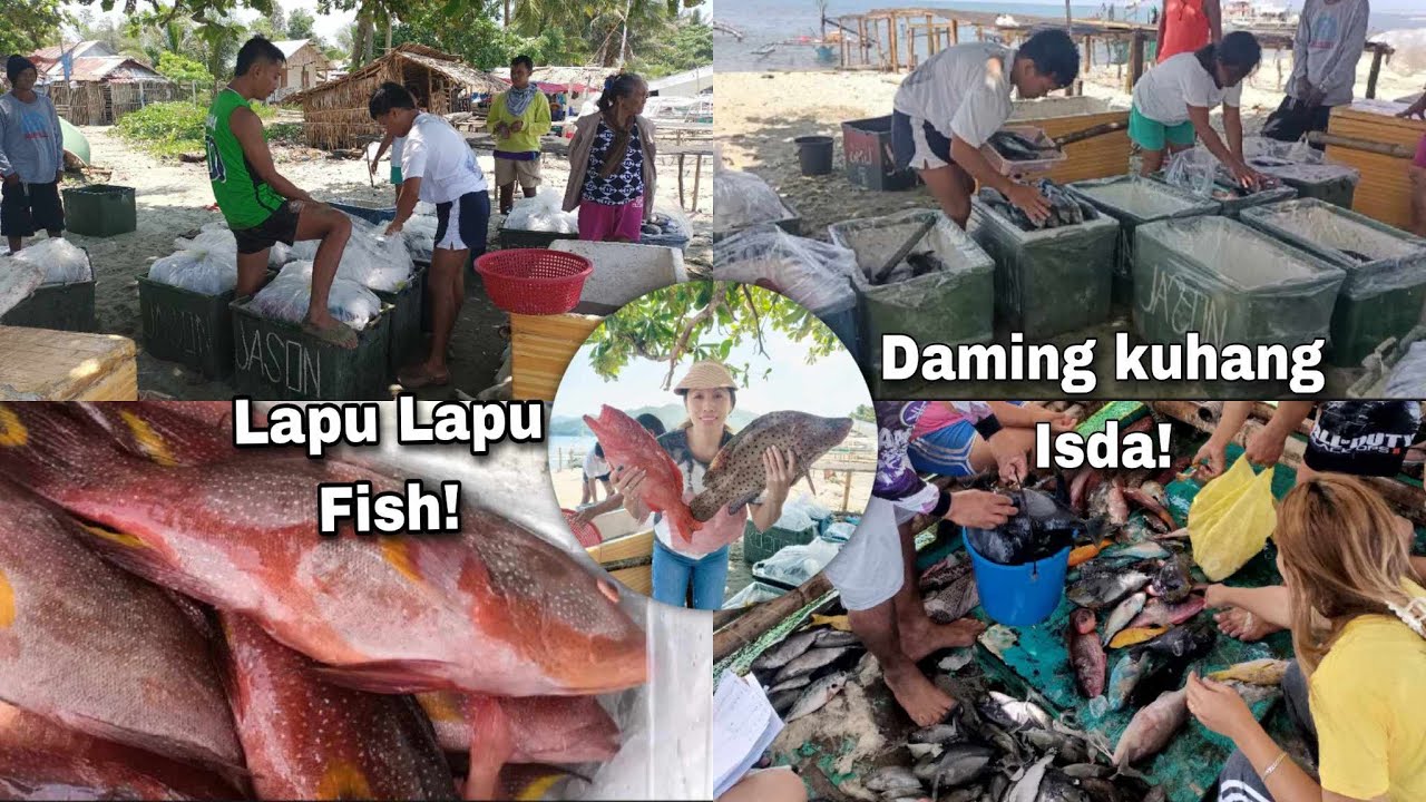HOW TO BAGGING FISH I HELP MY OLDER SISTER LIFE IN PROVINCE 🇵🇭 - YouTube