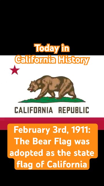 Today in California History: On February 3rd, 1911 the bear flag became ...