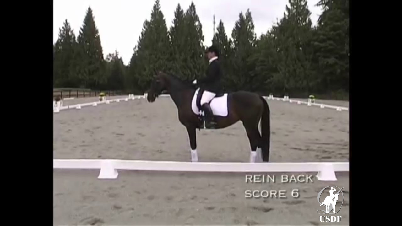 Rein Back with Directives and Scores - YouTube