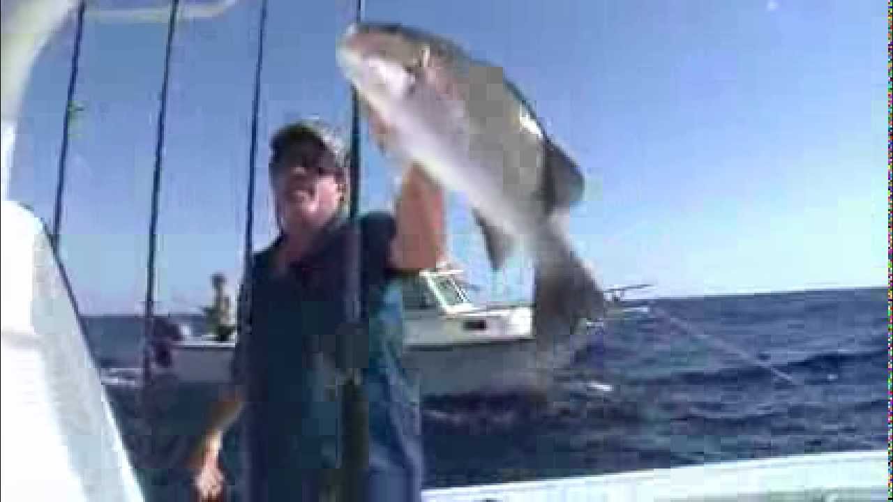 REEL ANIMALS FISHING SHOW • 2012 Season Sampler - YouTube