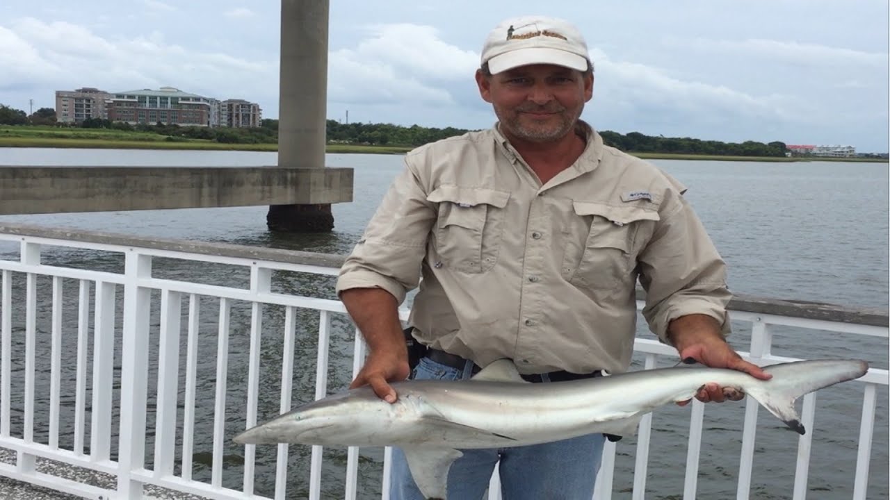 Jiggin' Jerry, 30" Red Drum, Trout and oops 3' Shark! at Mt. Pleasant ...