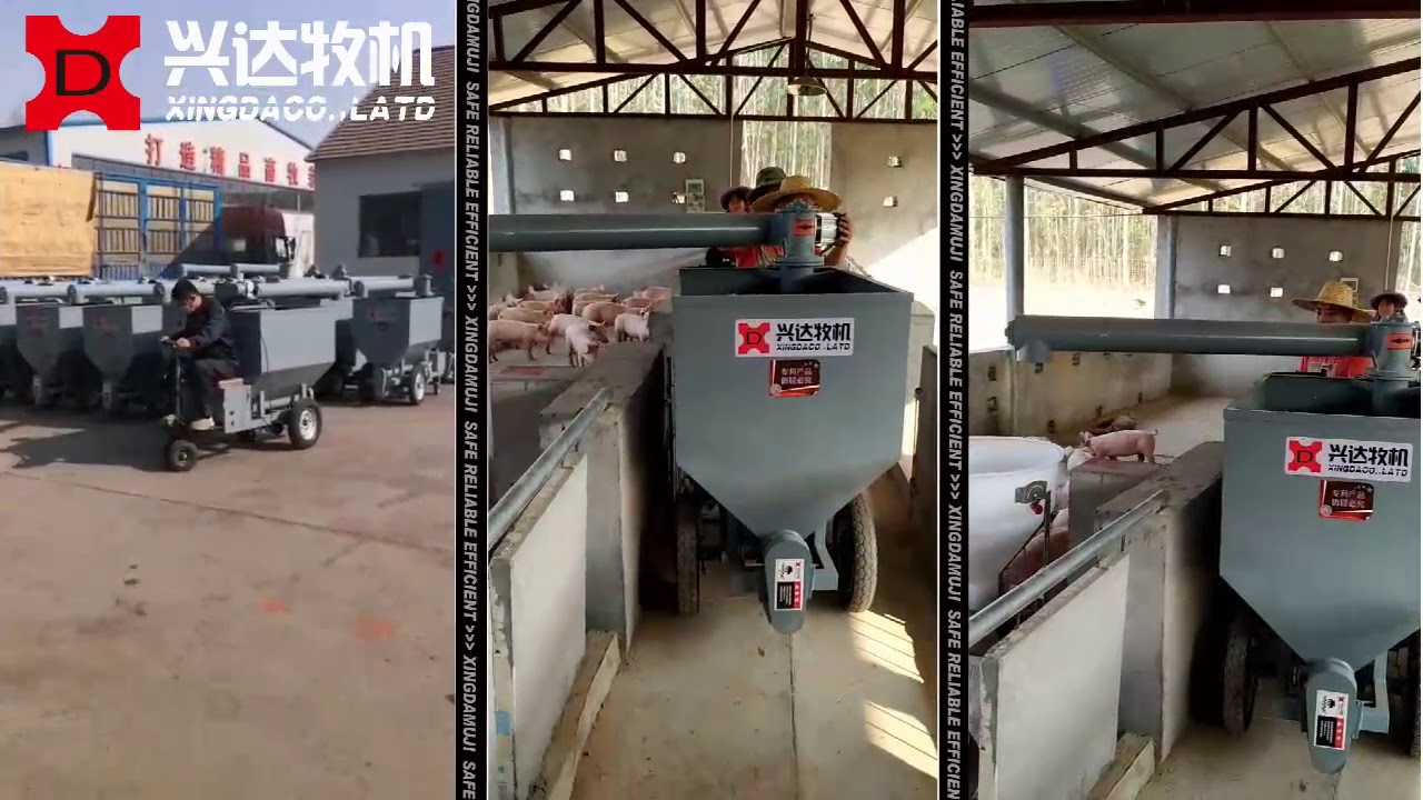 Pig stunner equipment equipment needed for piggery - YouTube