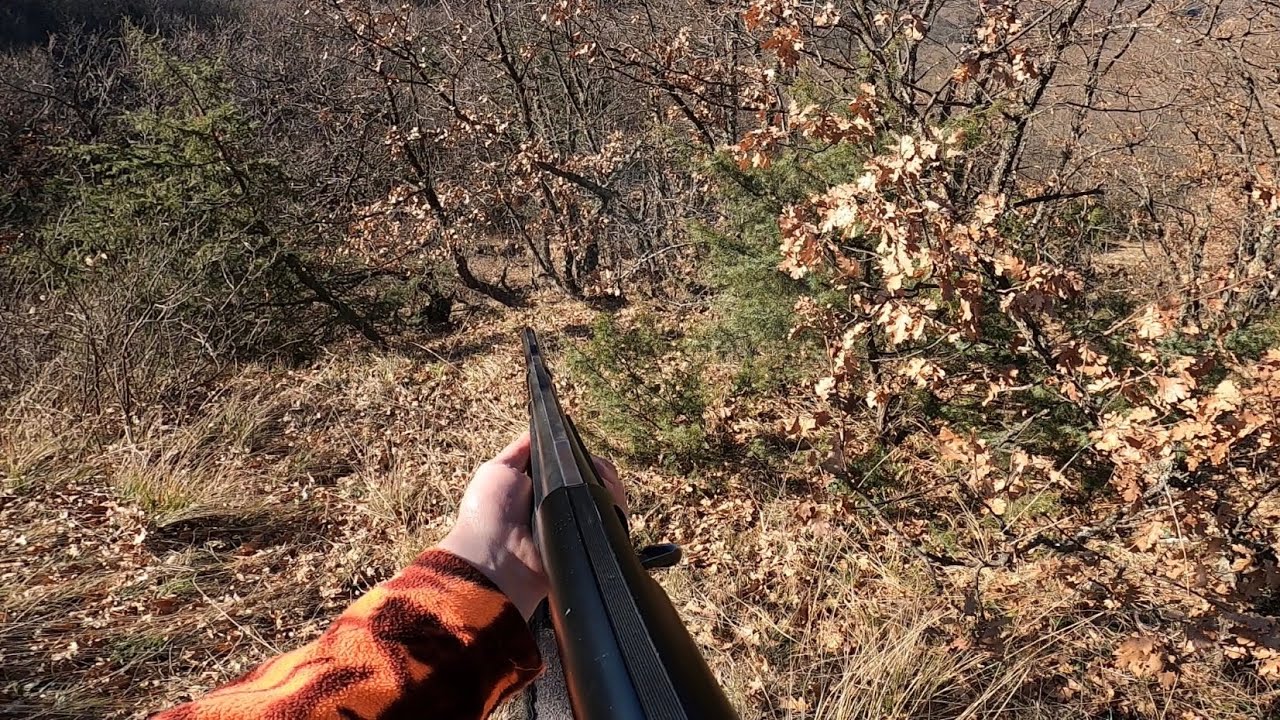 Κυνήγι Αγριογούρουνο 🐗 Wild Boar Hunting in Greece 🇬🇷 Domuz Avi - YouTube