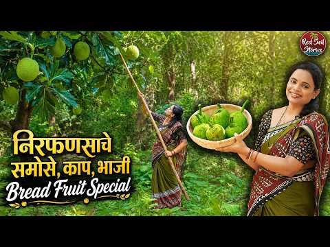 निरफणसाचे समोसे, काप, भाजी | Bread Fruit Special | Village Cooking | Red Soil Stories