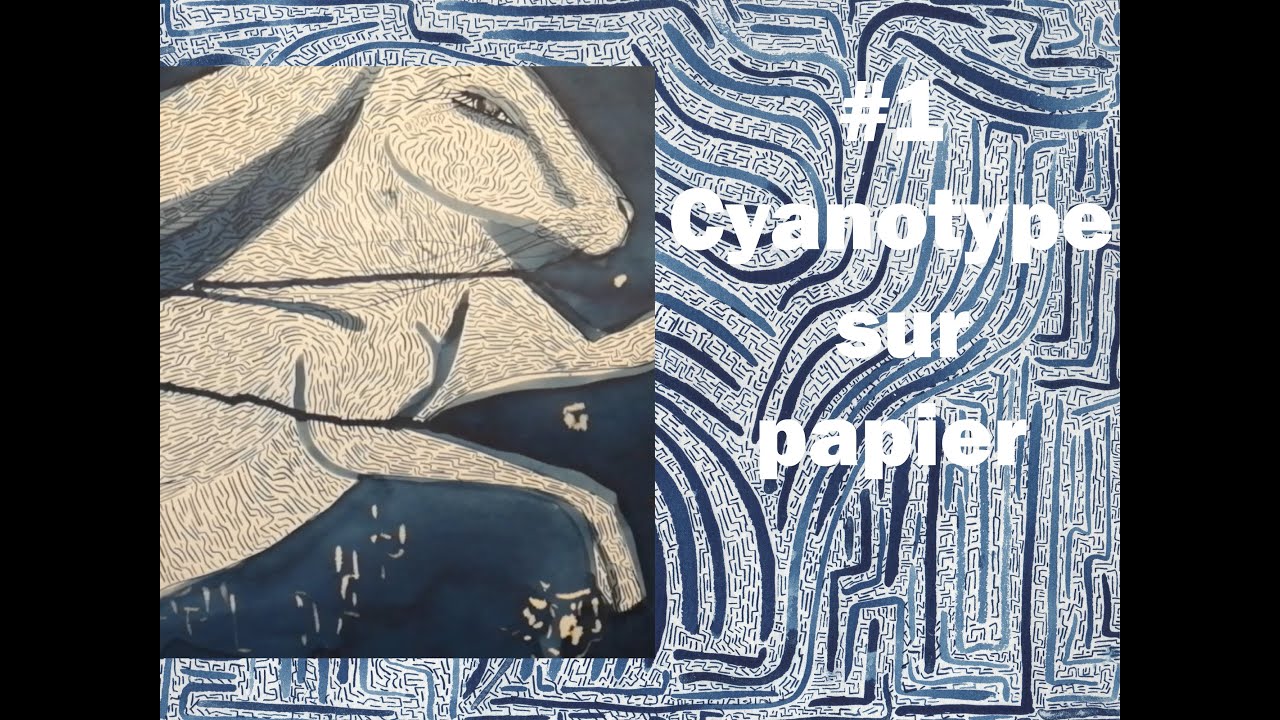 #1 Cyanotype sur papier, cyanographie d'un lièvre sous la neige Art ...