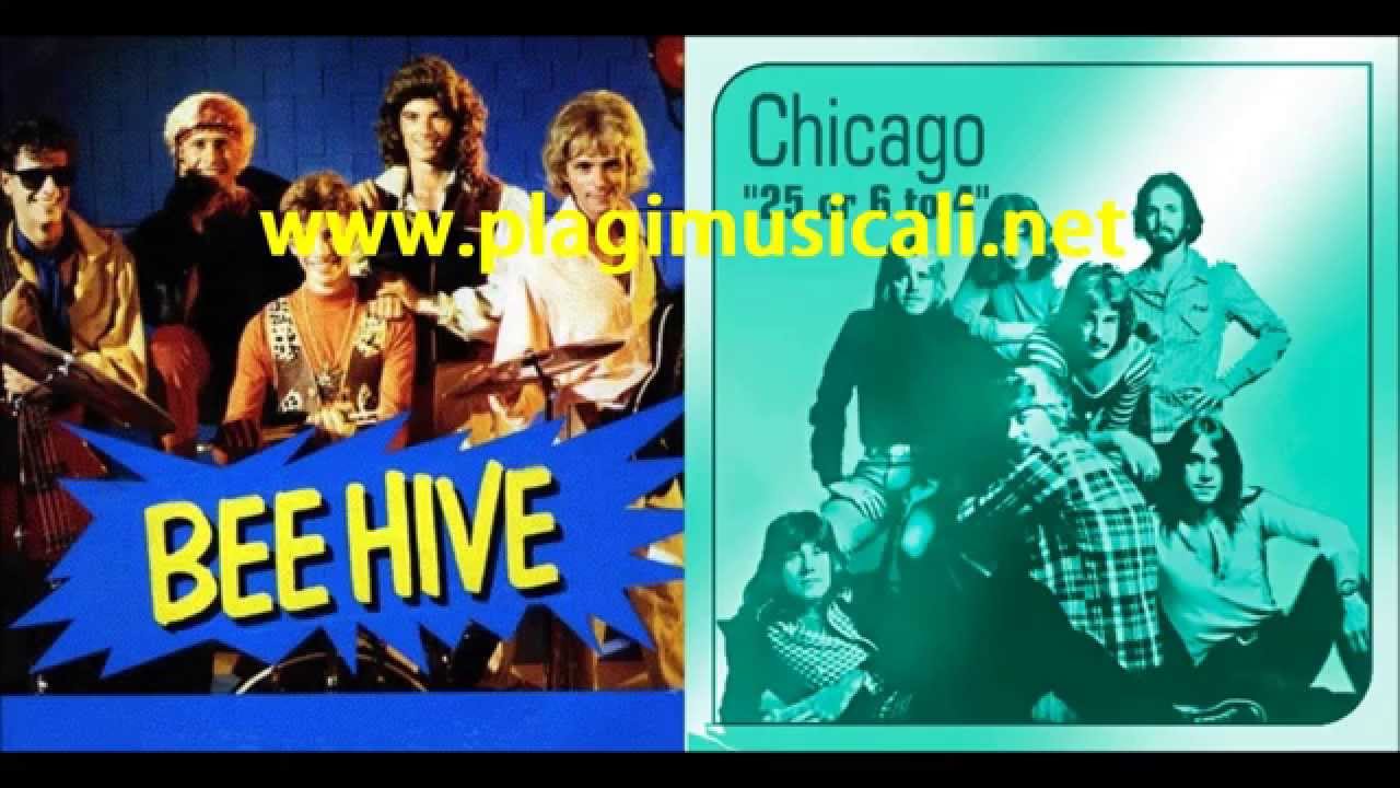 Bee Hive vs Chicago - YouTube