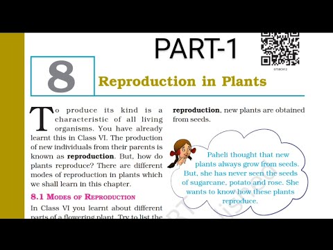 Reproduction in Plants | Class-7 | chapter-8 | NCERT | Part-1 - YouTube