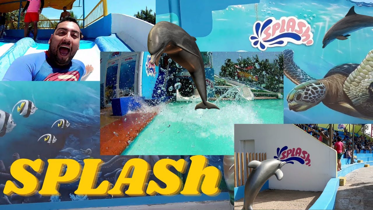 Splash // Parque Acuático 🐬 - YouTube