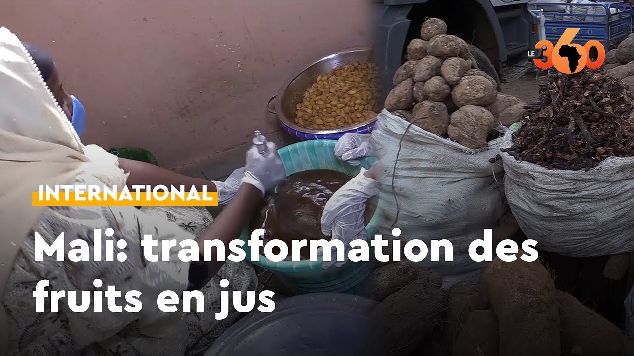 Mali: le filon des unités de transformation de fruits et légumes en jus ...