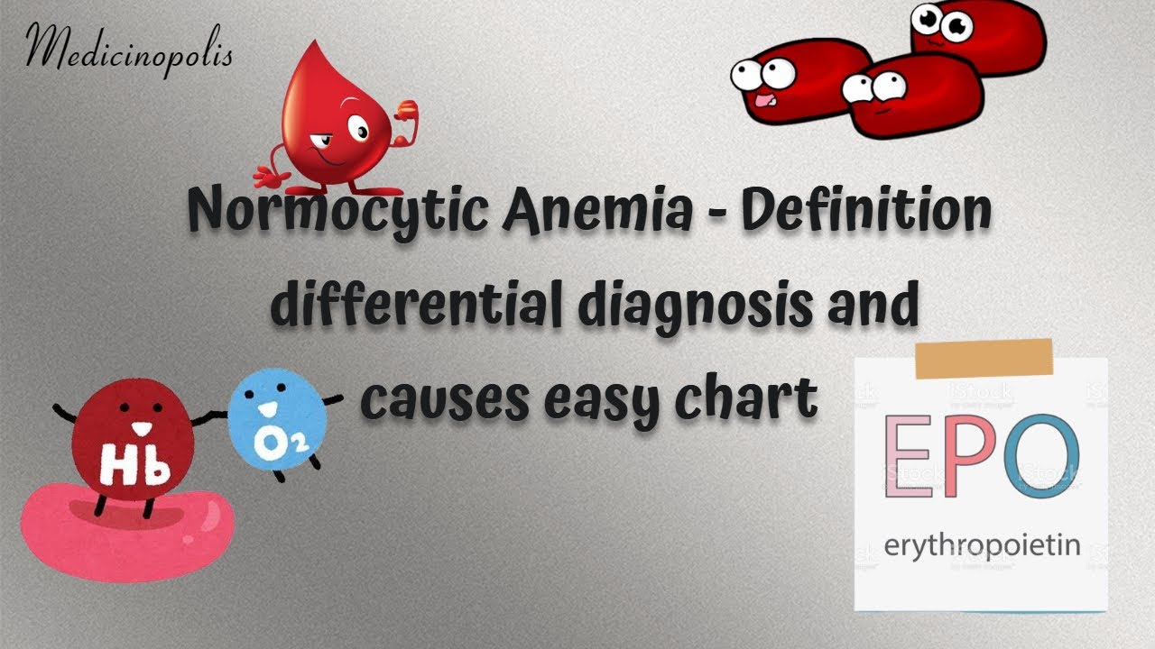 Normocytic Anemia - Pathophysiology || normocytic anemia symptoms ...