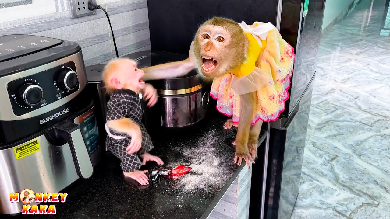 Monkey Kaka's Frustration: Dealing with Monkey Mit's Chaos - YouTube