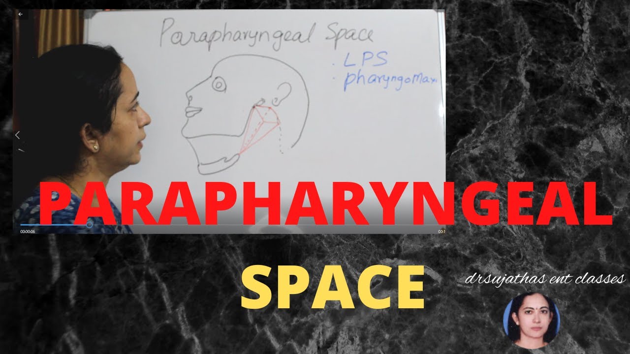 170.Parapharyngeal space #Anatomy Parapharyngeal space #anatomylectures ...