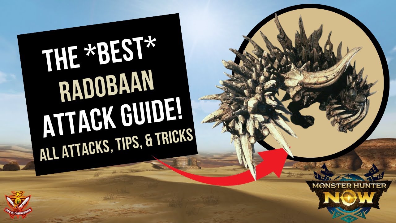The BEST RADOBAAN GUIDE! All Attacks, Tips and Tricks! l Monster Hunter ...