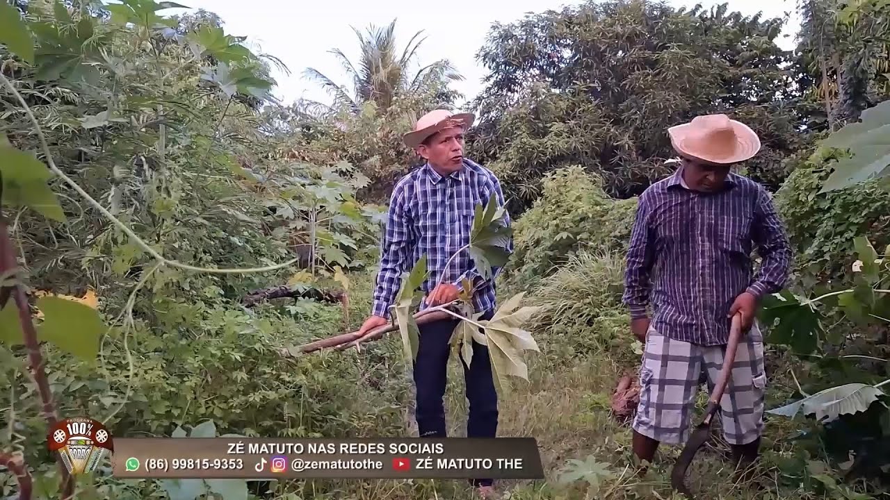 Gaitadas do Zé Matuto no Programa 100% Forró 04 05 2024 - YouTube